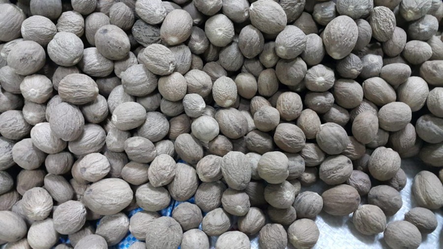 NUTMEG ABCD/ABC/BWP/SS | Inaexport