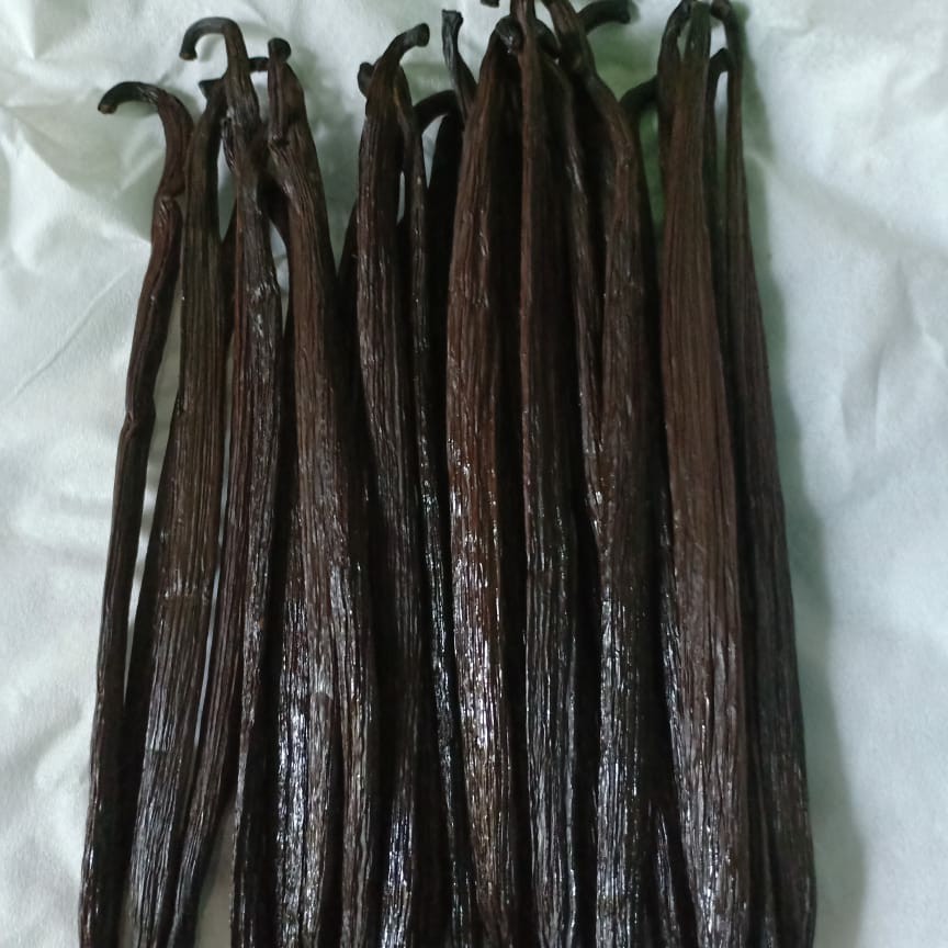 Vanilla Beans Planifolia | Inaexport
