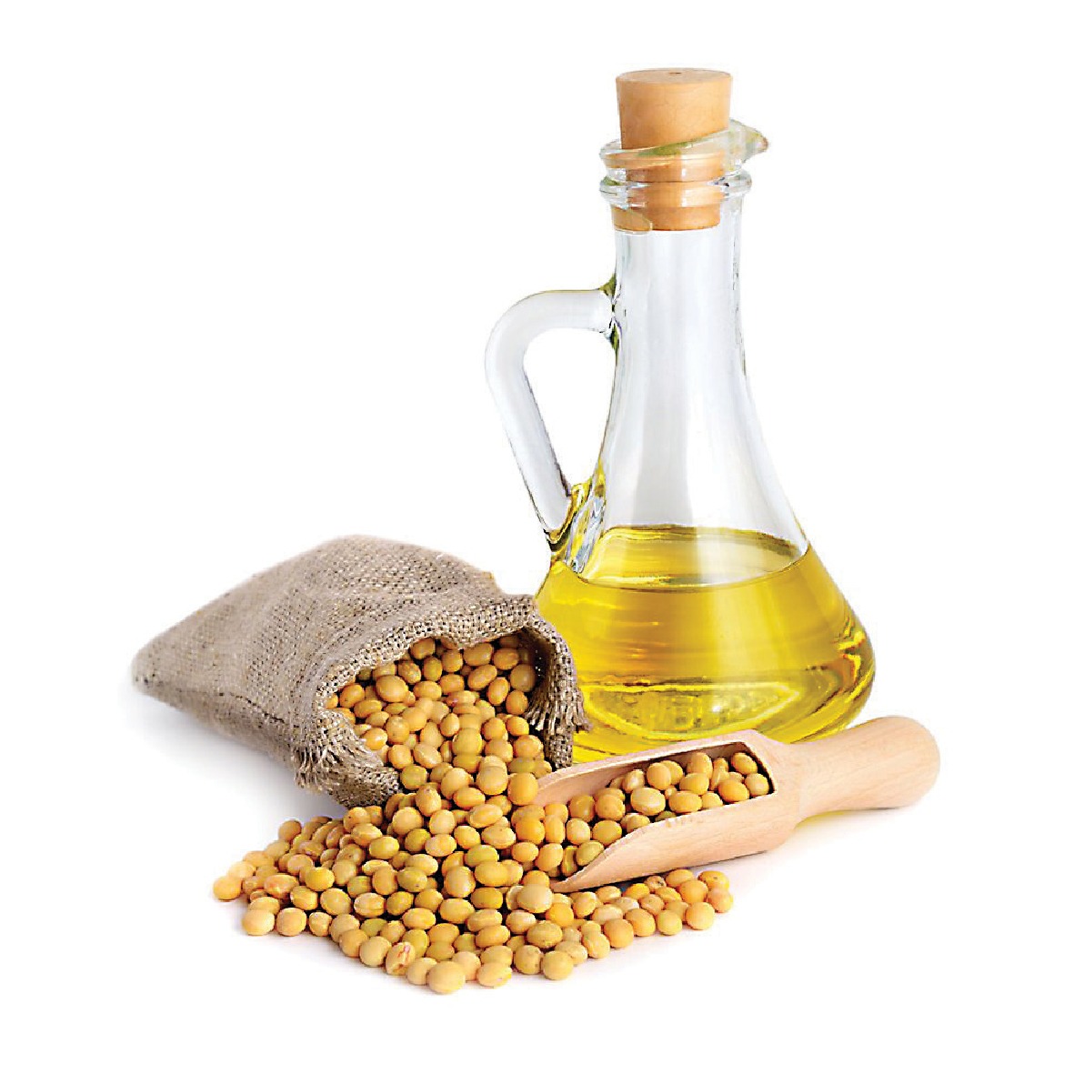 RBD Soybean Oil | Inaexport