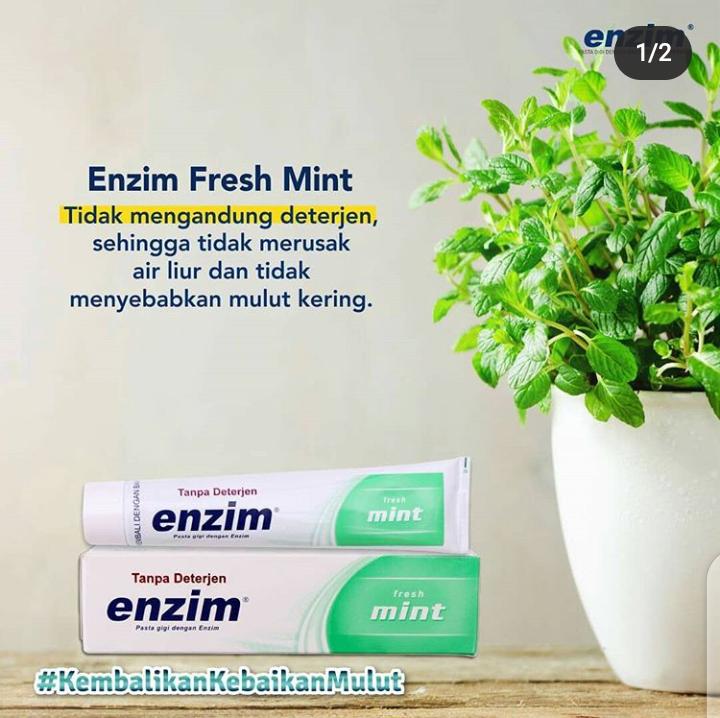 enzim Fresh Mint toothpaste | Inaexport