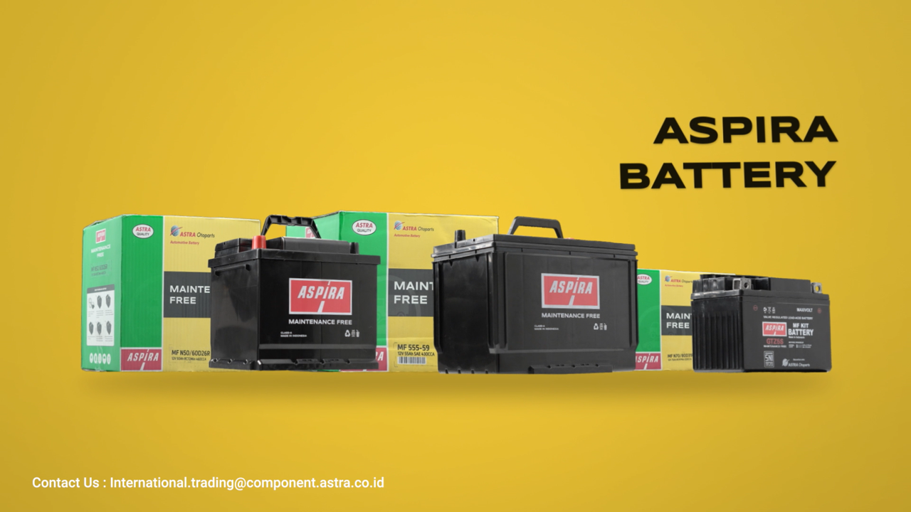 Aspira Automotive Battery | Inaexport