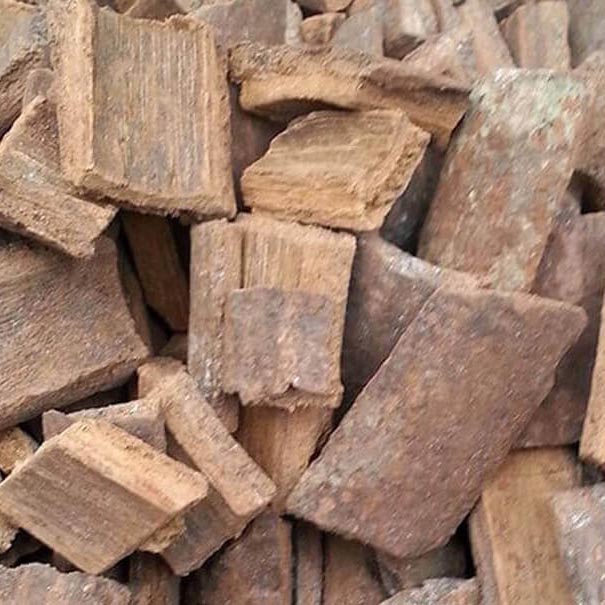 MASSOIA BARK OIL ( 95% LACTONE C10) | Inaexport