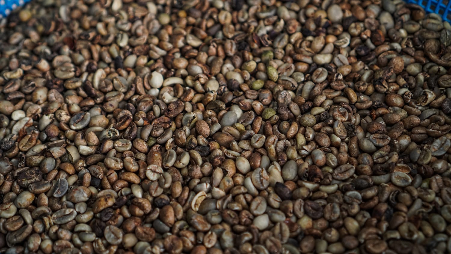 Arabica Green Beans Coffee | Inaexport