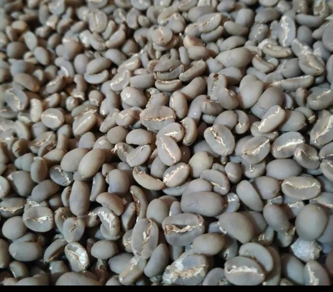 Arabica Coffee Bean | Inaexport