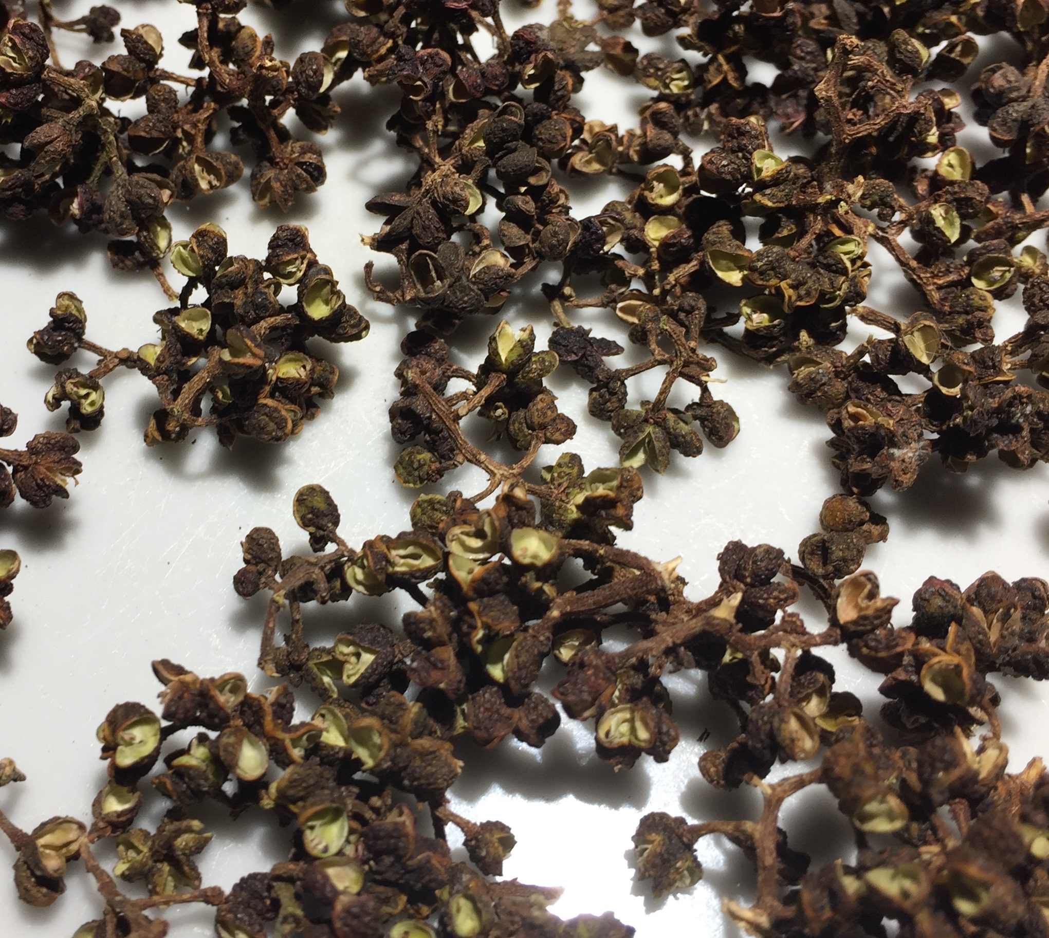 Dried Andaliman Pepper | Inaexport