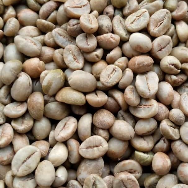Java Robusta Grade 1 | Inaexport