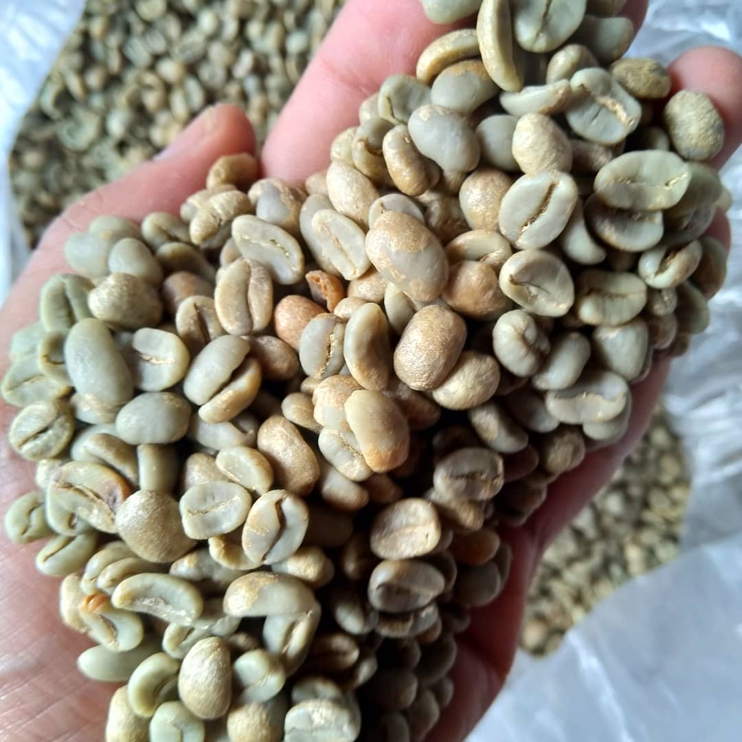 Java Preanger Arabica - Honey Process (Grade 1) | Inaexport