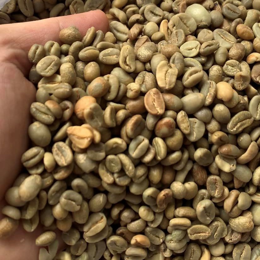 Java Arabica Garut (Specialty Coffee) | Inaexport