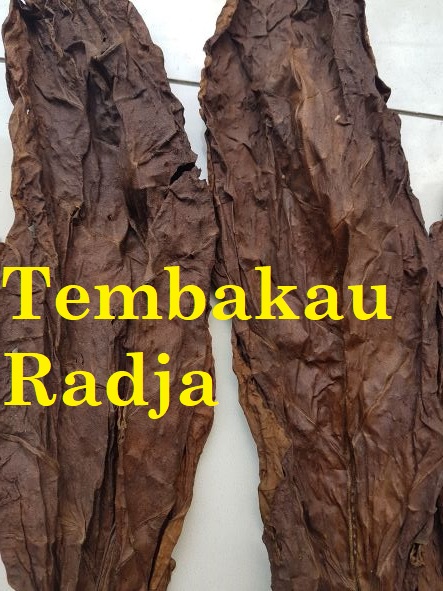 Dark Fire Cured | Inaexport