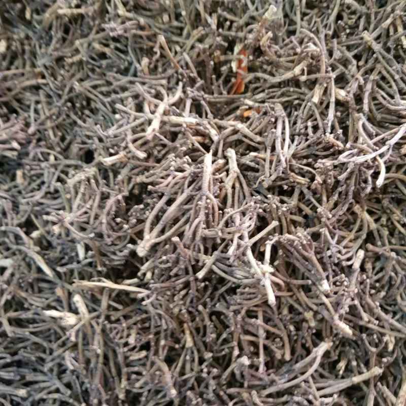 Clove stem | Inaexport