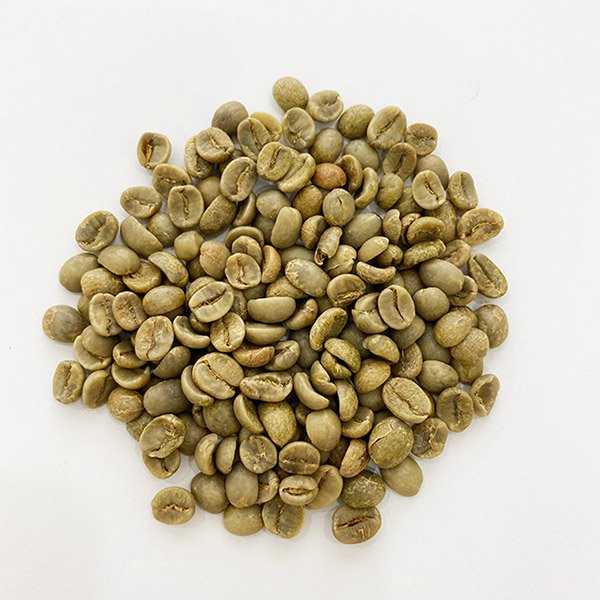 Robusta Coffee Bean Grade 3 | Inaexport