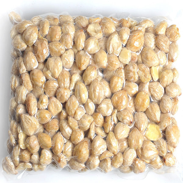 Candle Nut | Inaexport