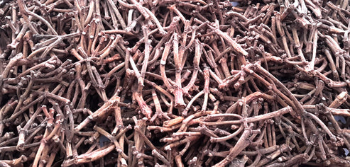 Clove stems | Inaexport