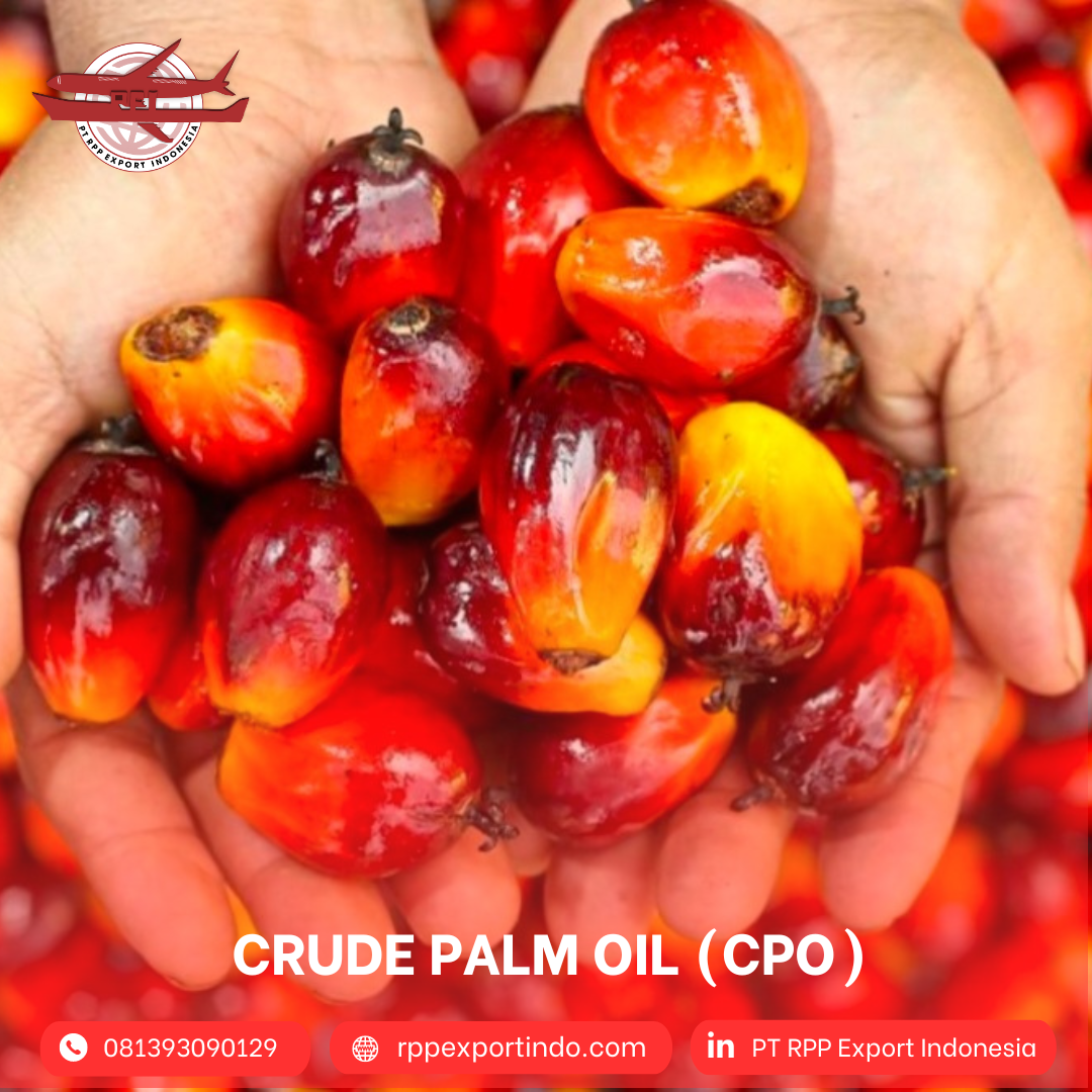 Crude Palm Oil (CPO) | Inaexport