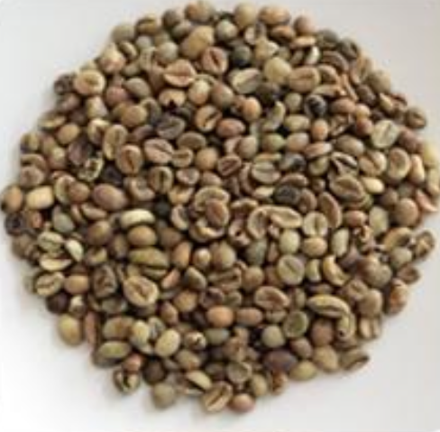 Robusta Grade 5 EK 150 Defect | Inaexport