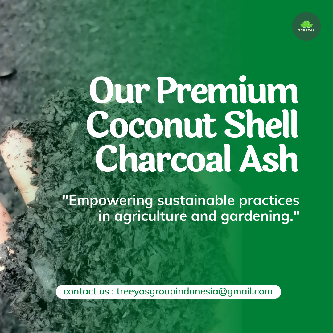 Coconut Shell Charcoal Ash | Inaexport