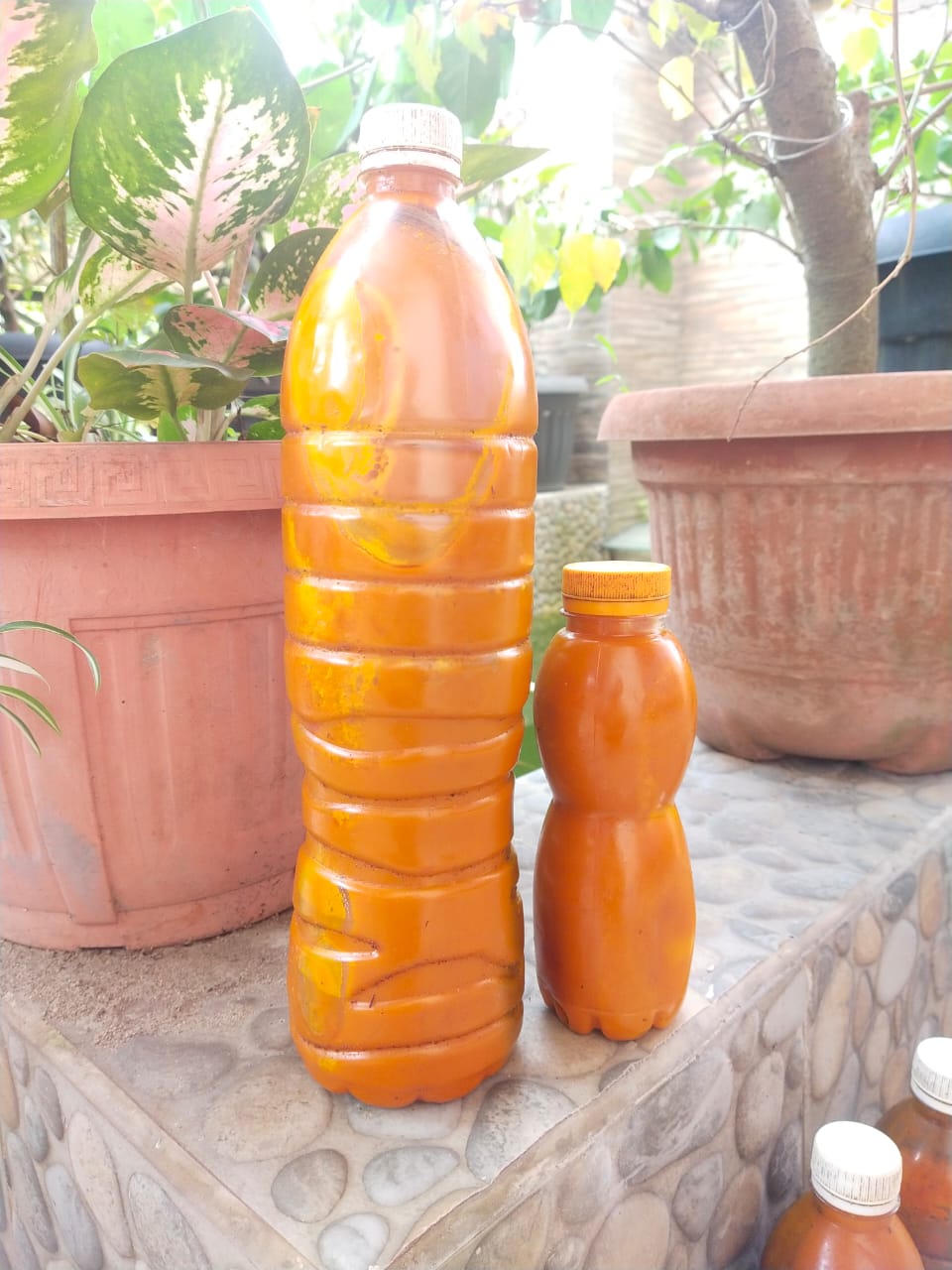 High Acid Palm Oil Residue (HAPOR) | Inaexport