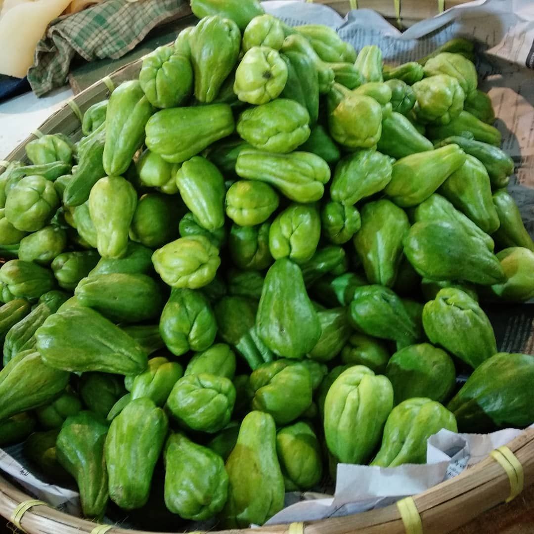 Fresh chayote | Inaexport