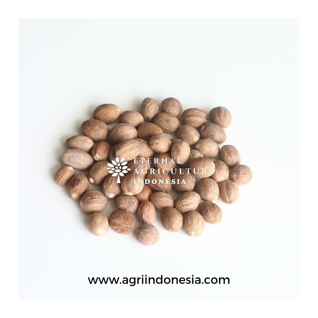 NUTMEG ABCD | Inaexport