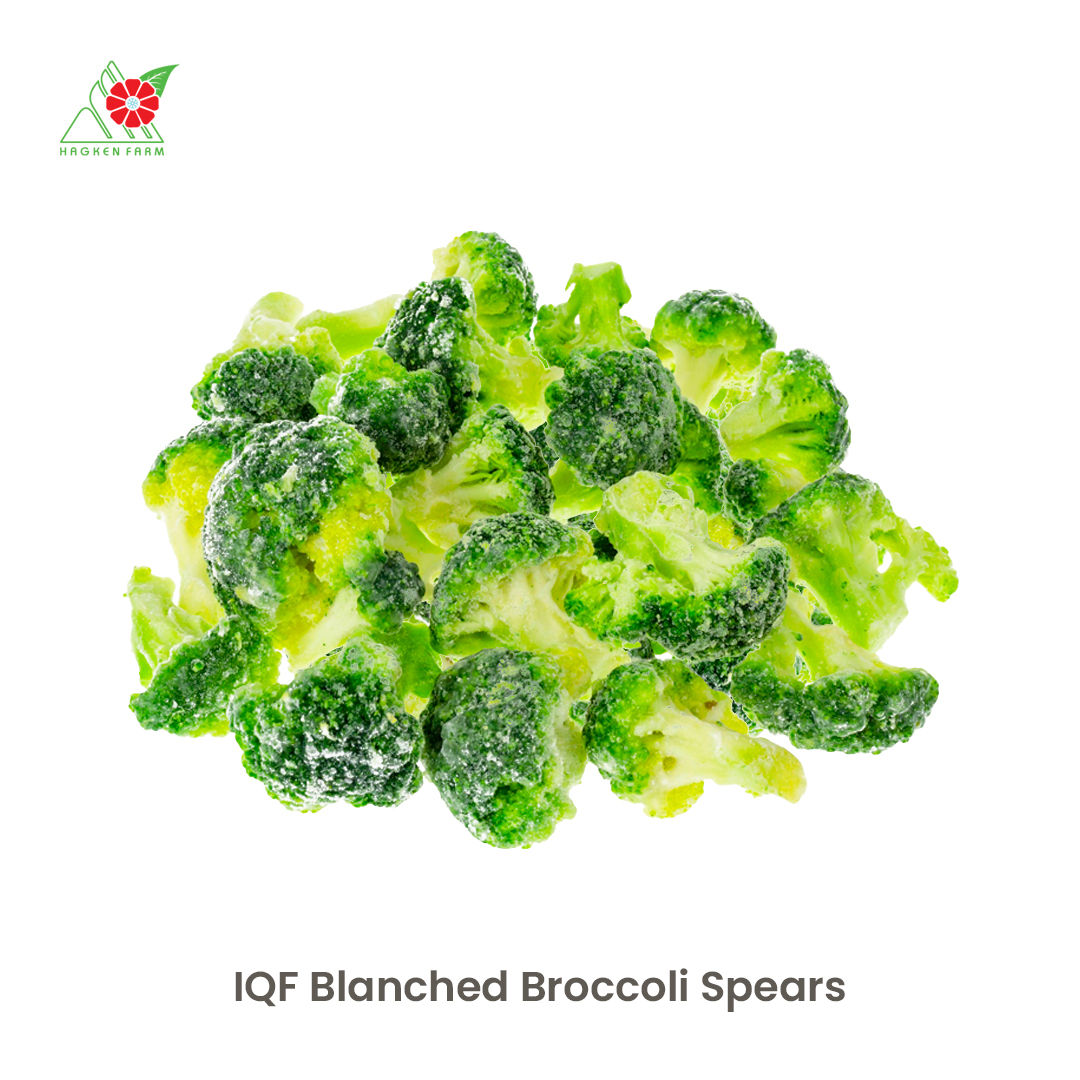 IQF Broccoli Spears | Inaexport