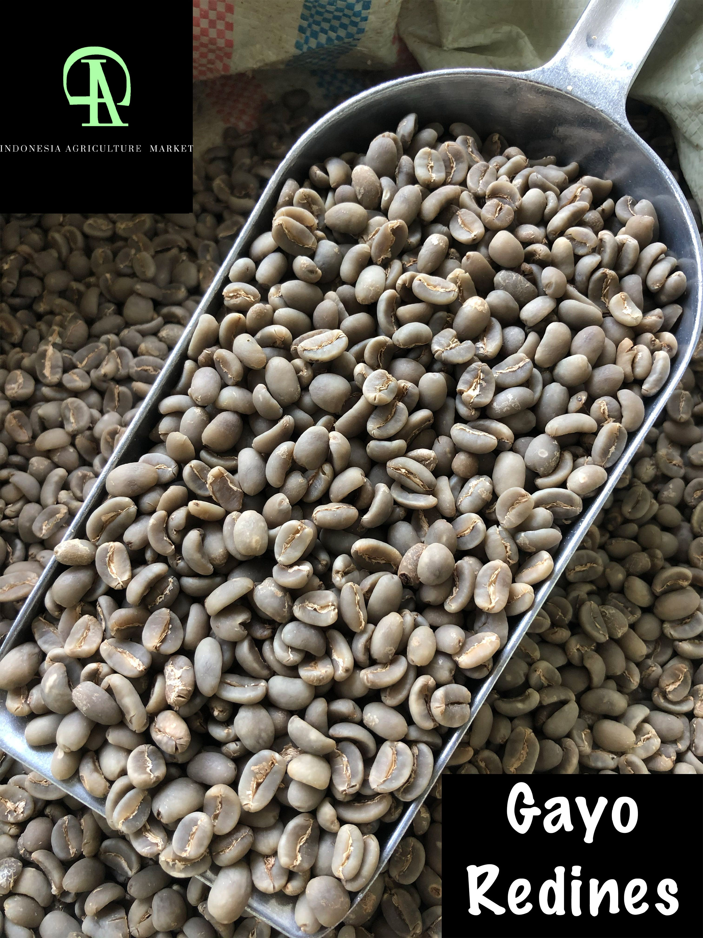 Arabica Gayo Bean | Inaexport