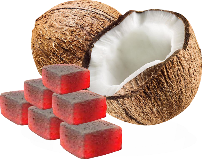 COCONUT SHELL CHARCOAL BRIQUITTES | Inaexport